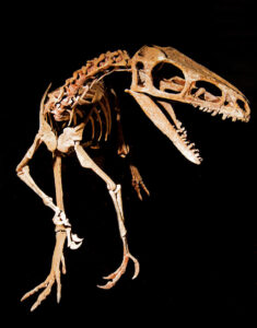 Therizinosaurus: The Scythe-Lizard of Prehistory - Kee Science